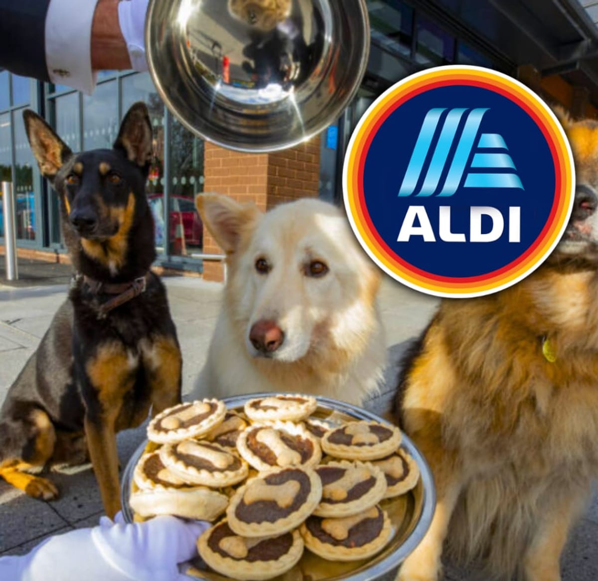 Aldi Unveils Doggy Mince Pies for Festive Season