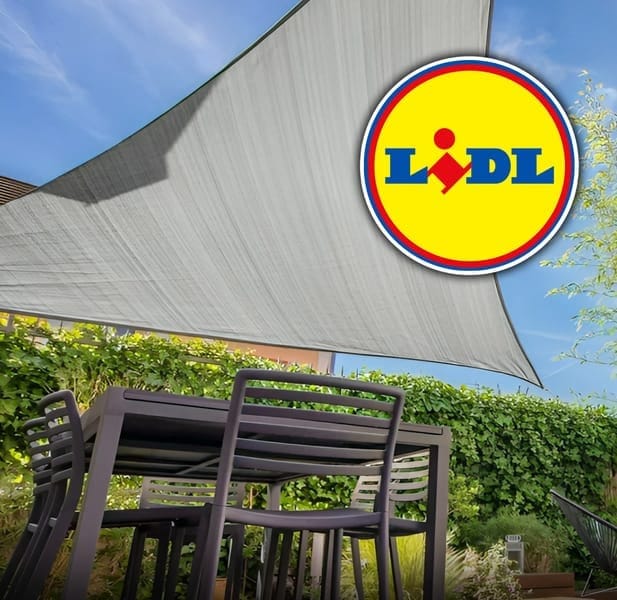 Lidl Shoppers Flocking for £14.99 Garden Buy That Transforms Outdoor Spaces