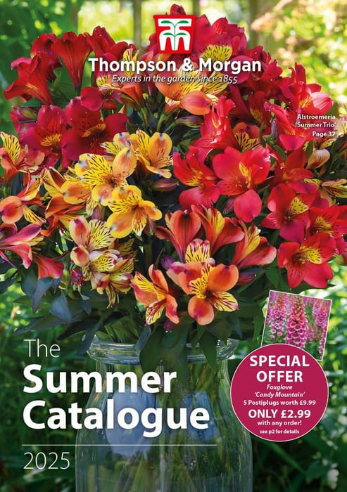 Free Thompson & Morgan Catalogue